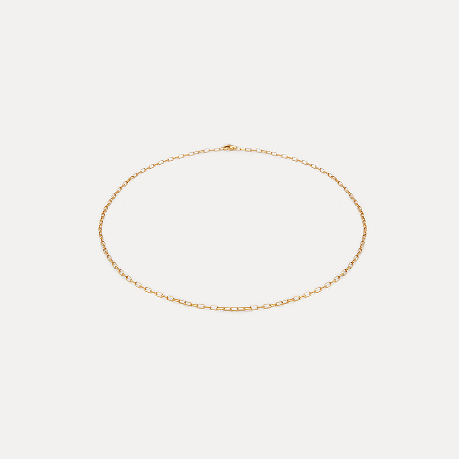 Catena Long Link Necklace