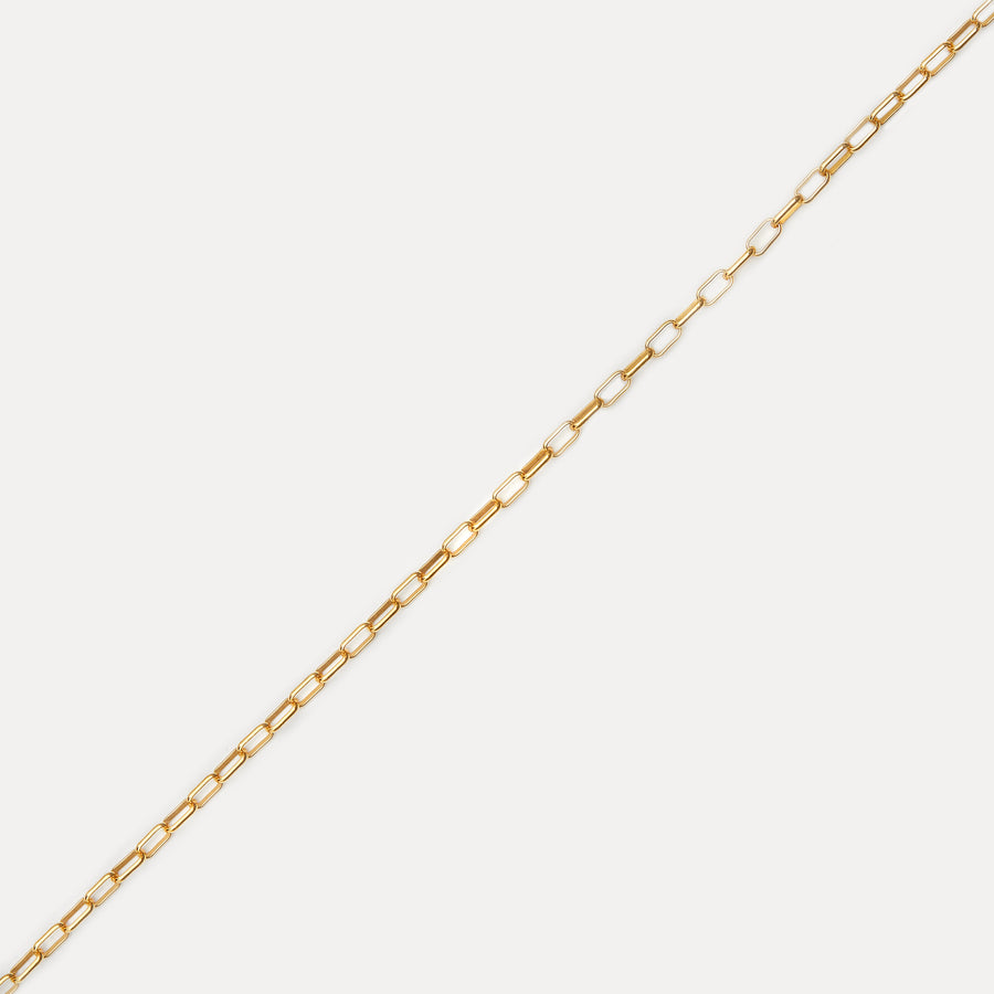 Catena Long Link Necklace