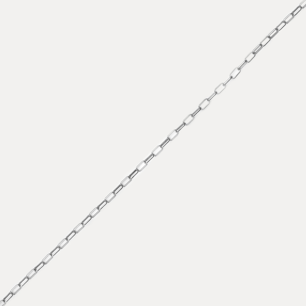 Catena Long Link Necklace