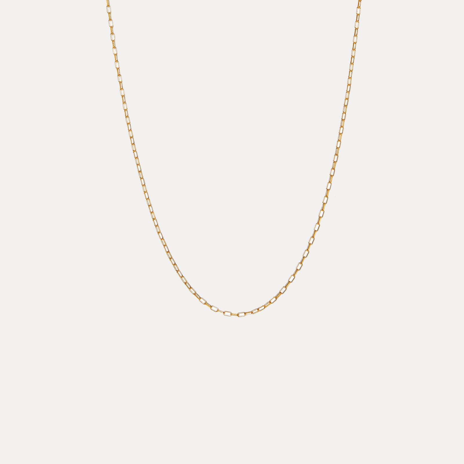 Catena Long Link Necklace